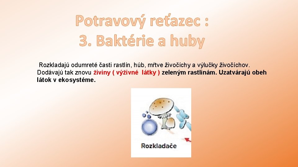 Potravov reazec 4 ronk Paed Dr ubica Machavov