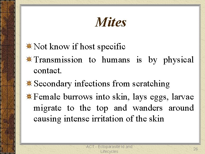 ACT Ectoparasite Id and Lifecycles 1 Arthropods Invertebrate
