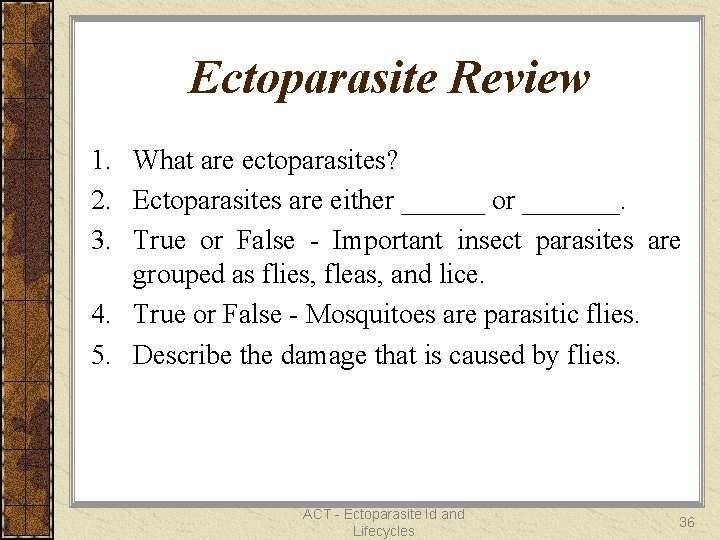 ACT Ectoparasite Id and Lifecycles 1 Arthropods Invertebrate