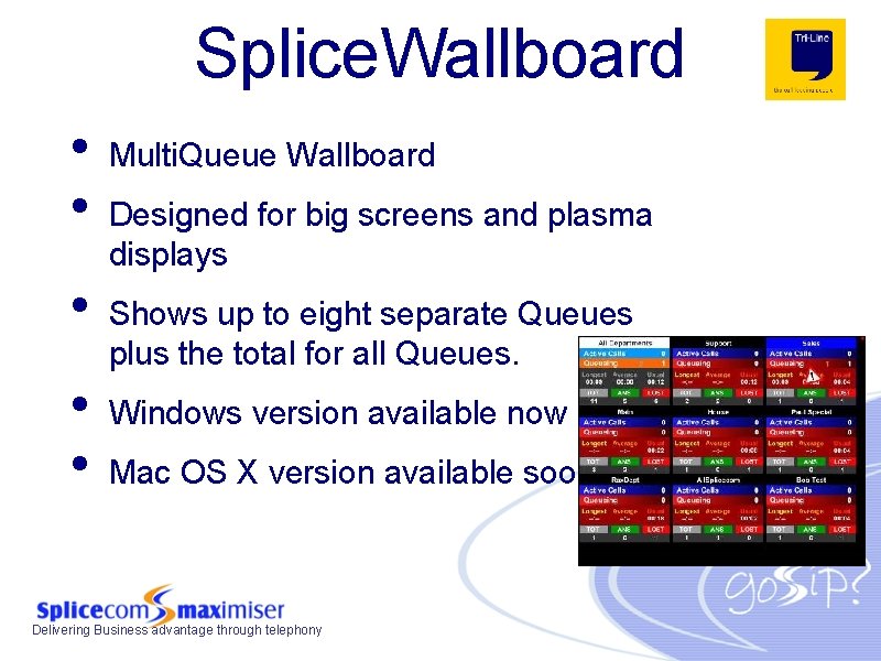 Version 2 4 maximiser Solution Partners Delivering Business