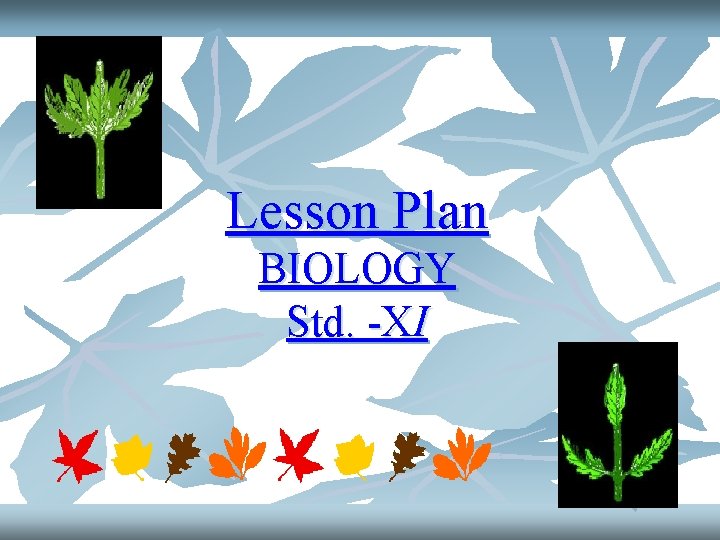 Lesson Plan BIOLOGY Std XI Concept Study of