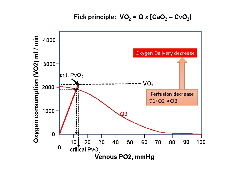 Wagners curves for explanation pathophysiology of oxygen delivery