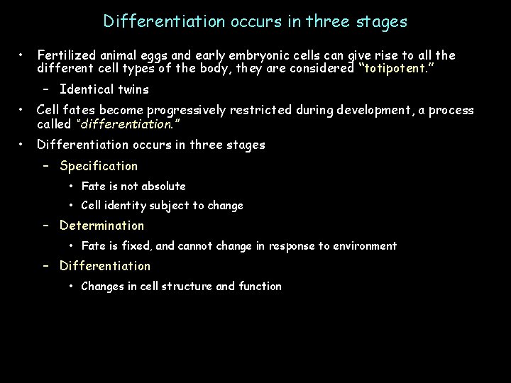 Lecture 24 Differentiation and stem cells Stem cells