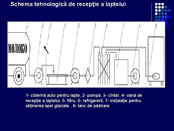 Tehnologia de producere a laptelui Culighin Elena gr4