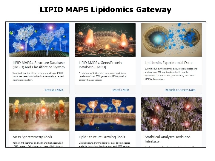 LIPID MAPS Lipidomics Gateway Workshop Eoin Fahy University