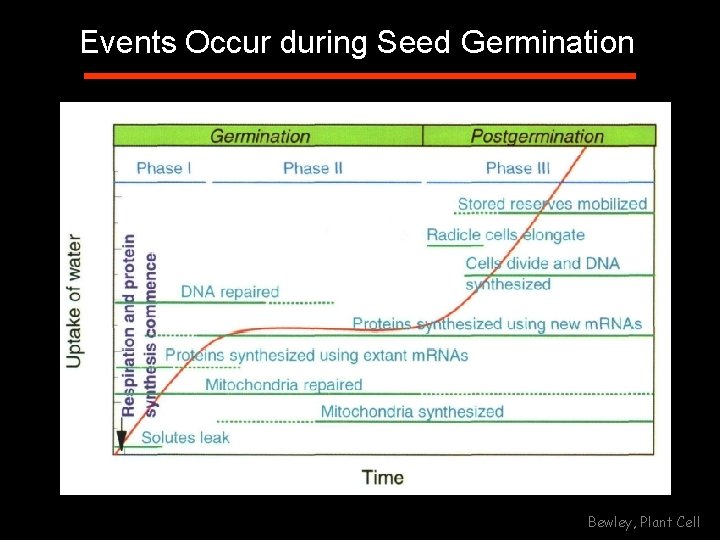 PS 452 Plant Development Feng Chen Department of