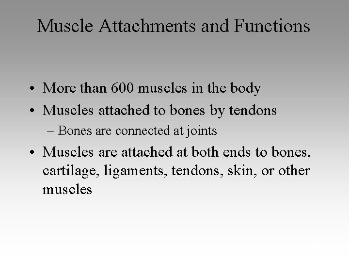 The Bones and Soft Tissue Bones Consist of