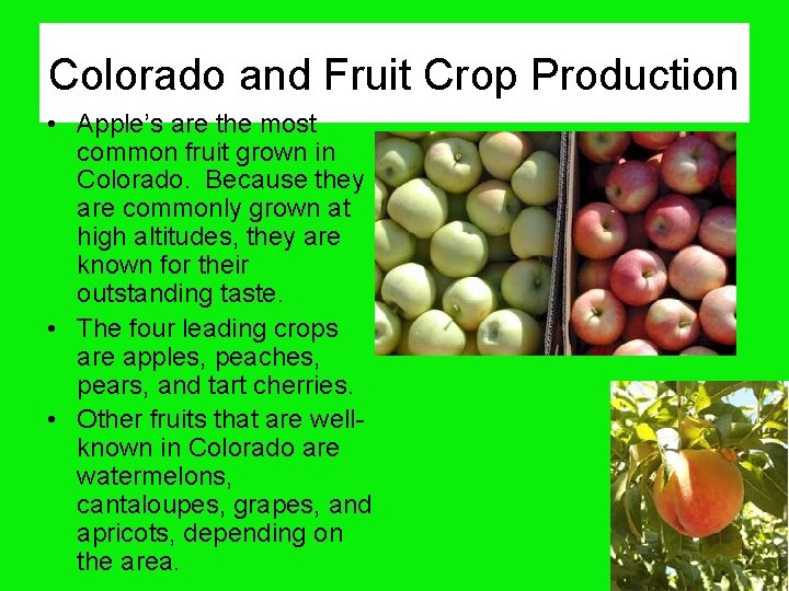 Understanding the Agriculture Industry Basic Colorado Agricultural Facts