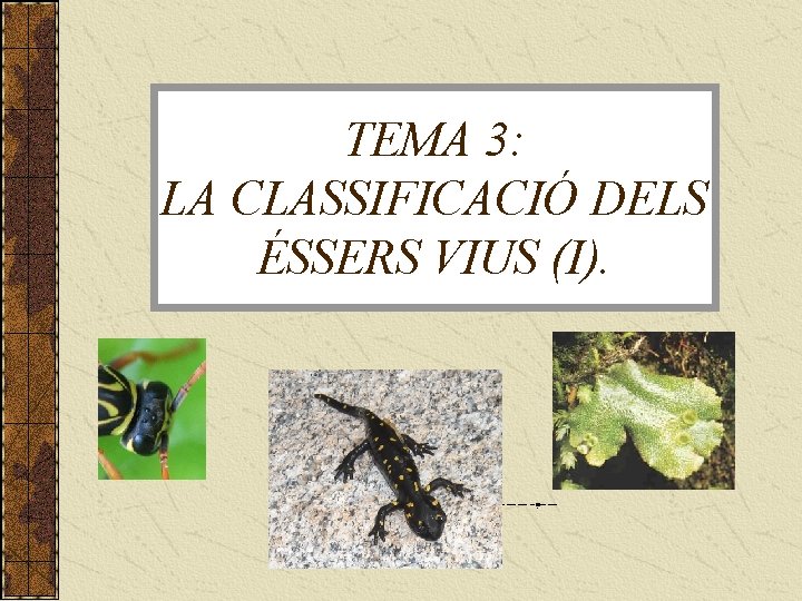 TEMA 3 LA CLASSIFICACI DELS SSERS VIUS I