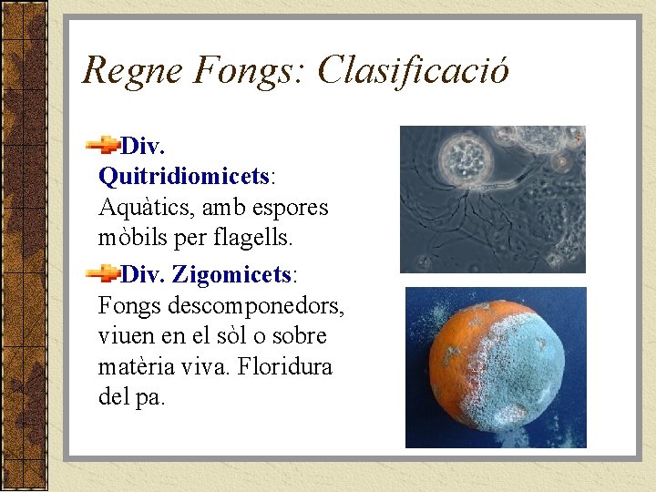 TEMA 3 LA CLASSIFICACI DELS SSERS VIUS I