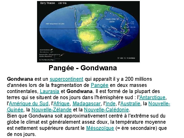 TECTONIQUE DES PLAQUES La drive des continents Les