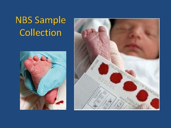 University of Nevada Reno Division of Health Sciences