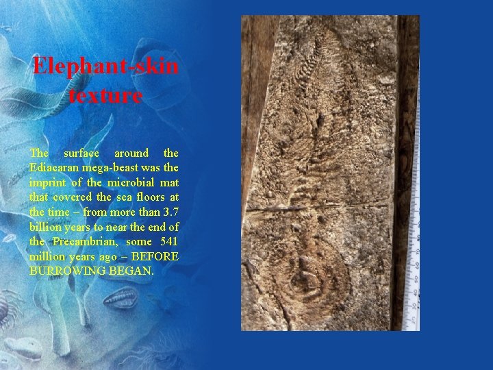 WHEN LIFE GOT Really BIG Snowball Slushball Earth