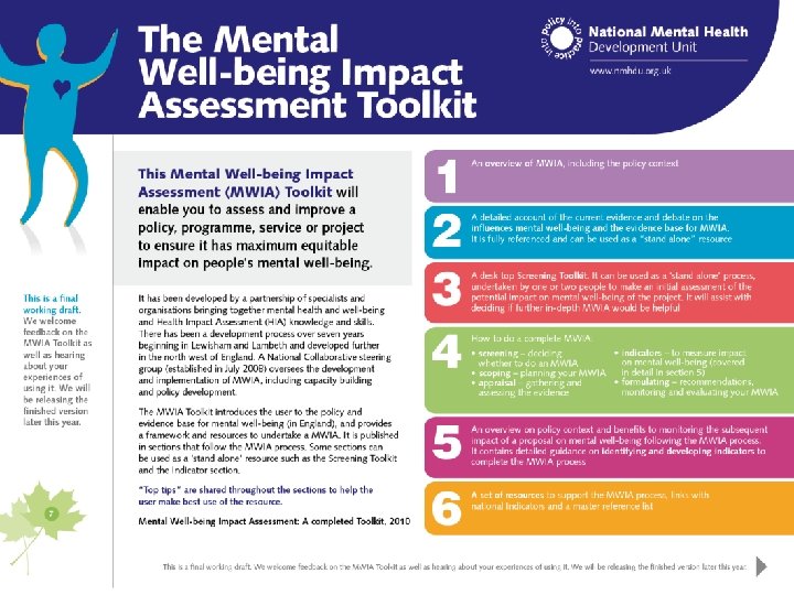 Mental Wellbeing Impact Assessment MWIA Tony Coggins Head