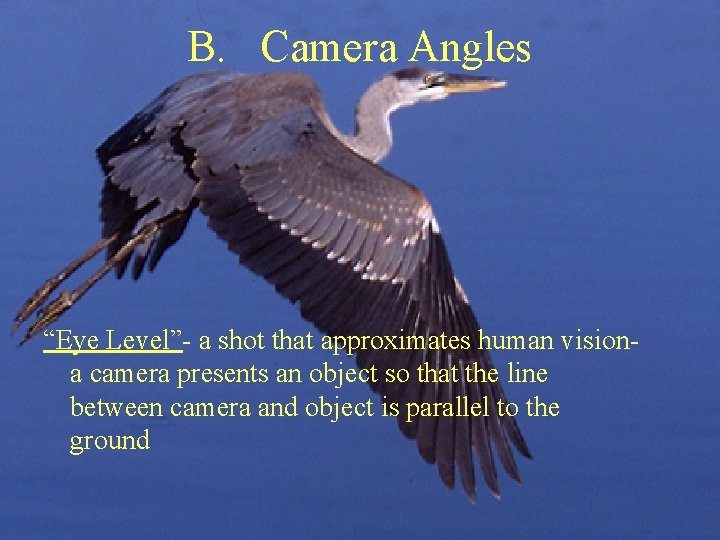 Film Terms A Types of Shots Long shot
