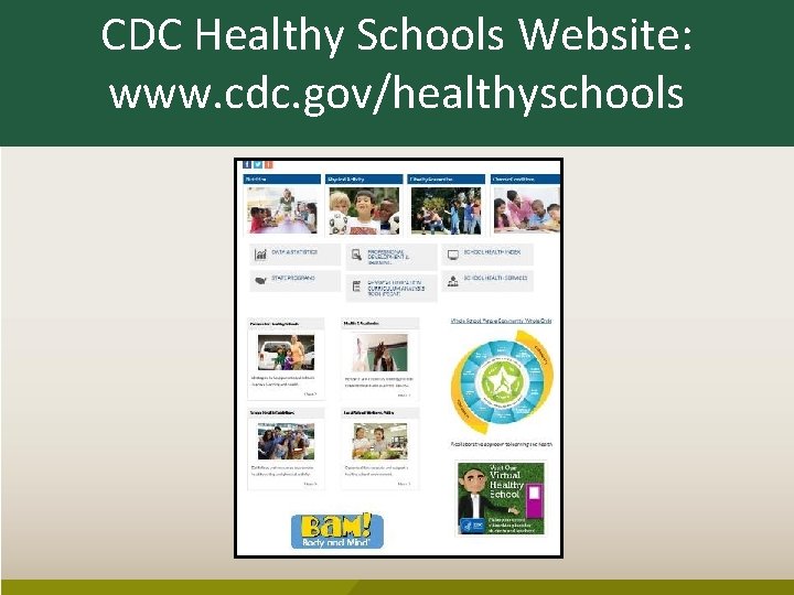 CDC Healthy Schools Chronic Health Conditions in School
