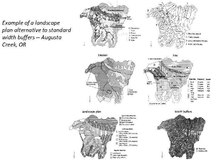 Ecological rationale for determining buffer width Forest Ecosystem