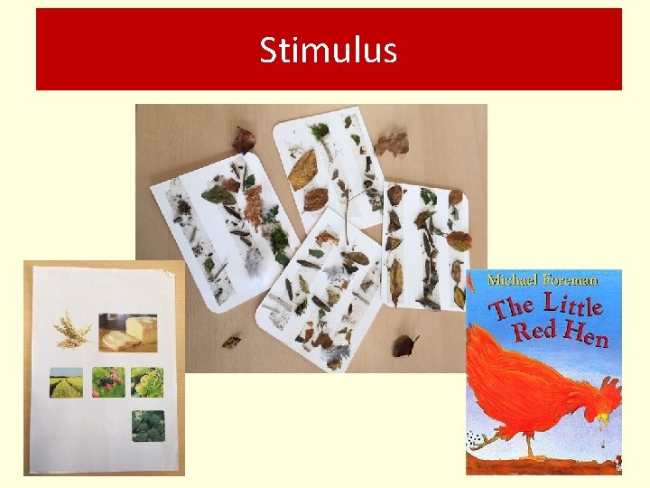 EYFS Focus Summary of Feedback By Fi Perry