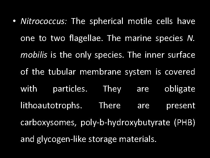 NITROBACTERIACEAE Nitrification The conversion of ammonium to nitrate
