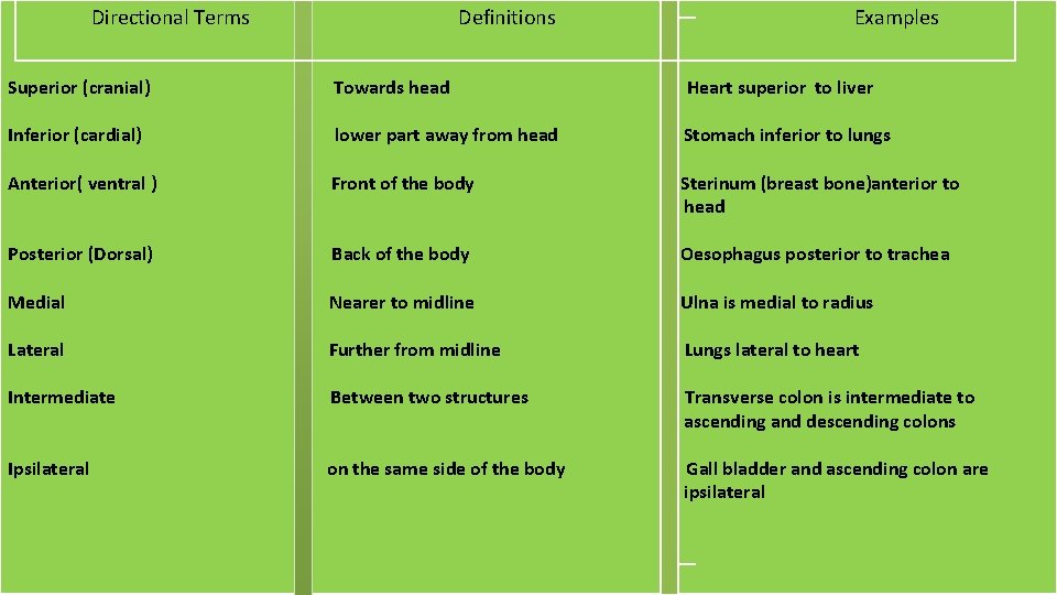 HUMAN ANATOMY PHYSIOLOGY BY DR STELLA SELENA M