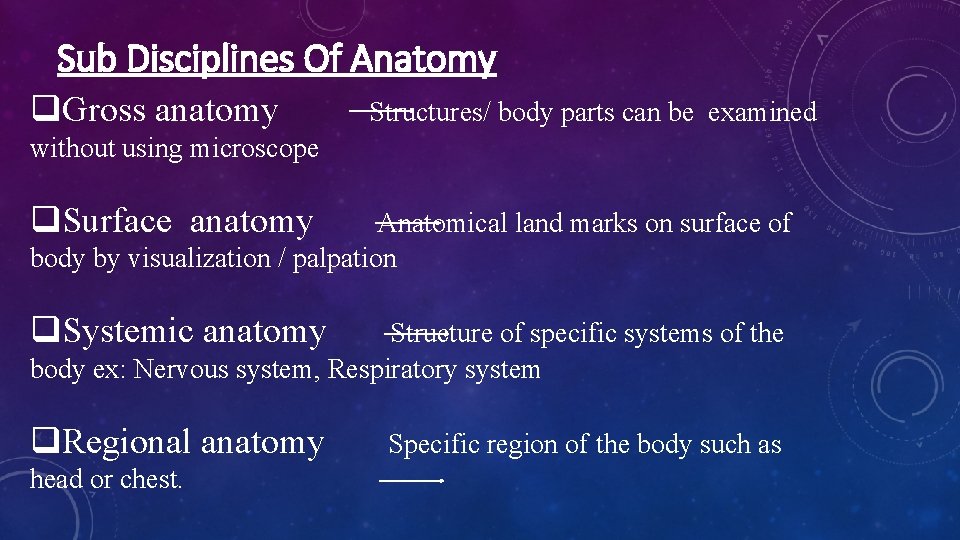 HUMAN ANATOMY PHYSIOLOGY BY DR STELLA SELENA M