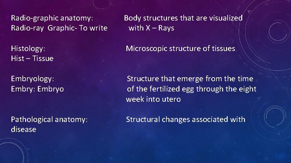HUMAN ANATOMY PHYSIOLOGY BY DR STELLA SELENA M
