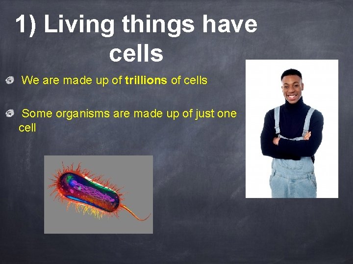 Living and NonLiving 82217 Characteristics of All Living