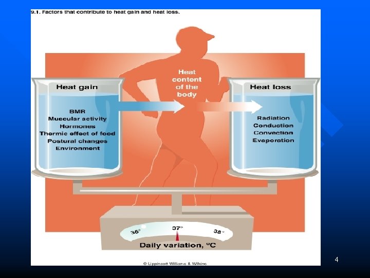 Thermal Body Temperature Regulation Chapter 9 Presented by