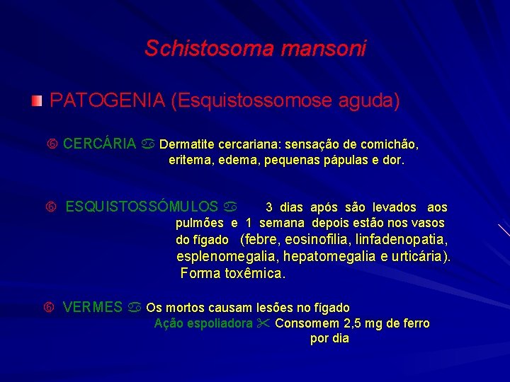 Schistosoma mansoni Schistosoma mansoni OBJETIVO Estudar a classificao