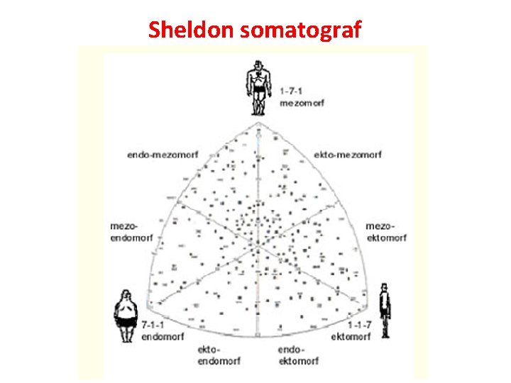 The Theory of Sport Training Basic Principles LESSON
