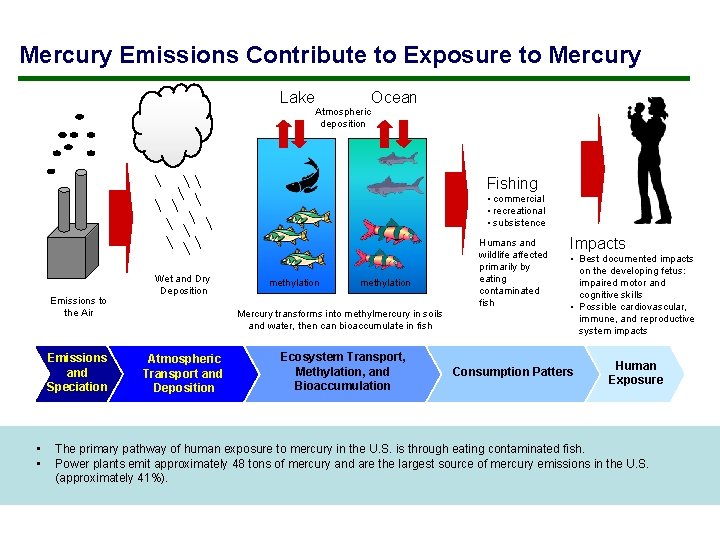 Mercury Transport Fate and Health Impacts Ellen Brown