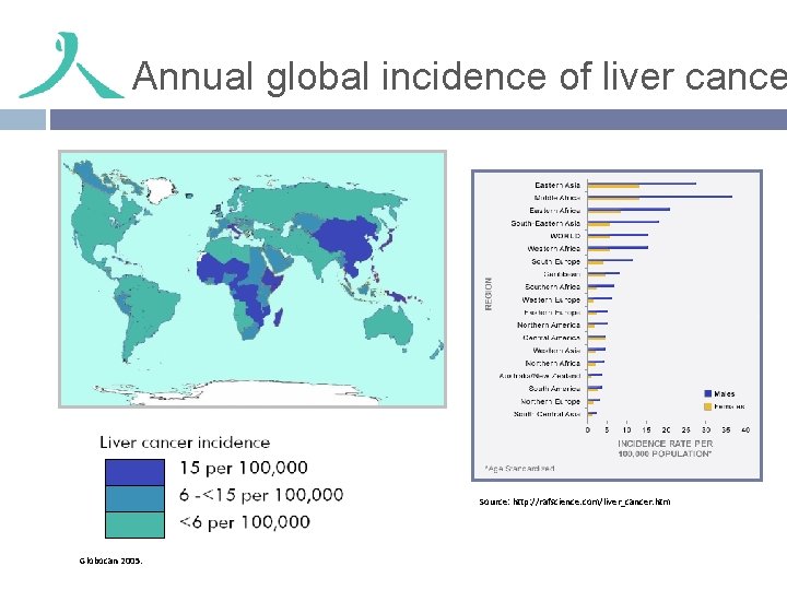 HEPATITIS B AND LIVER CANCER WHY SHOULD WE