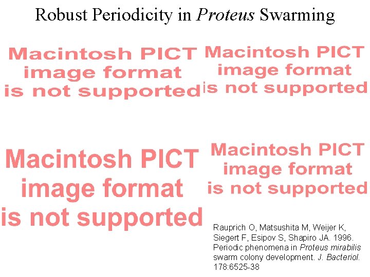 Proteus meaning - freeloadsmuseum
