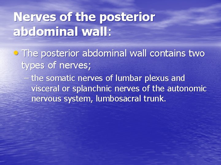 ABDOMEN The abdomen is the region of the