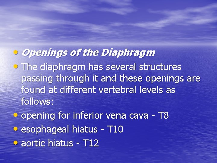 ABDOMEN The abdomen is the region of the