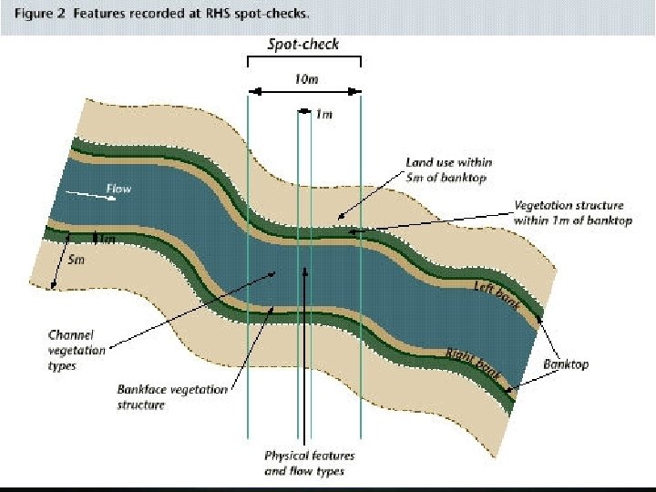 River Habitat Survey An evaluation of the habitats