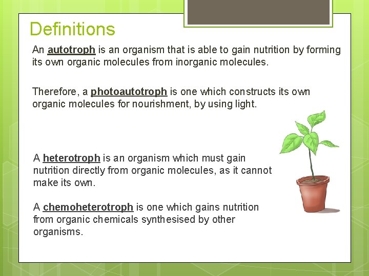 Photosynthesis Lesson 1 The interrelationship between photosynthesis and