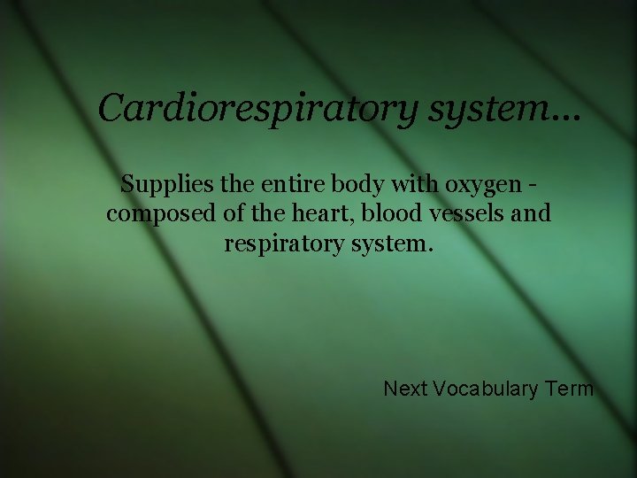 Chapter 11 Understanding Your Cardiorespiratory System Vocabulary ...