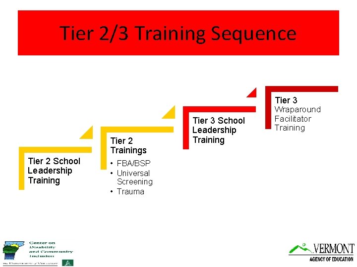VTPBIS Intensive Level Webinar January 2018 Webinar Logistics