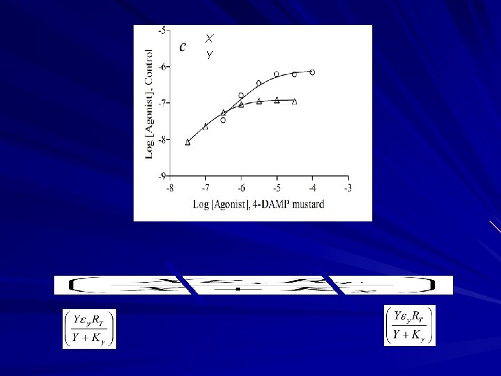 Intrinsic Relative Activity RAi of an Agonist Understanding