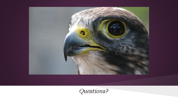 Detailed Design Review P 14231 UAV Aerial Imaging