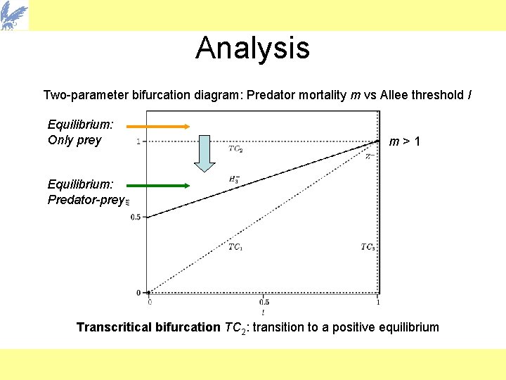 Ecological consequences of global bifurcations George van Voorn