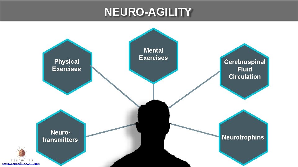 The Resilient Brain and how to Enhance it