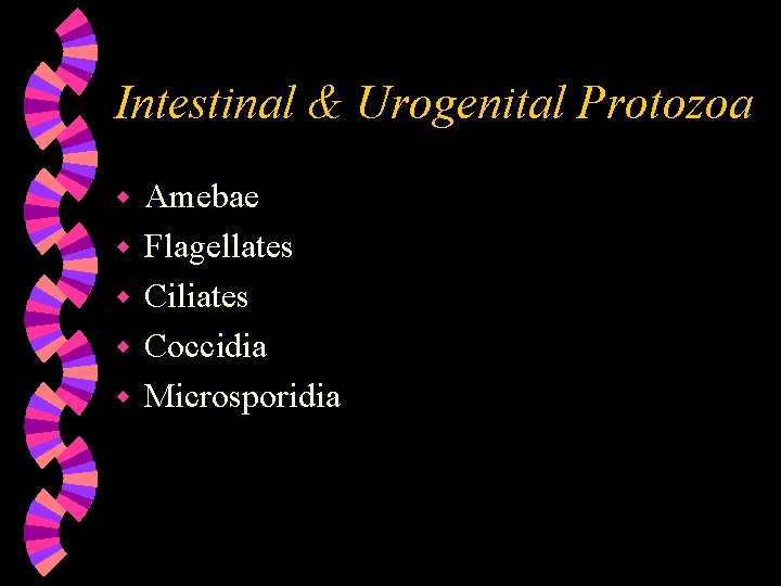 Medical Parasitology Hugh B Fackrell Parasitic eukaryotes protozoa
