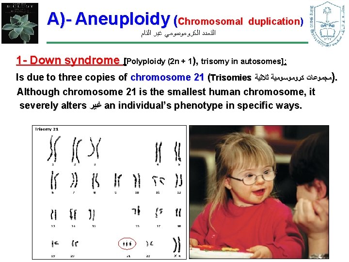 1 THE CHROMOSOMAL BASIS OF INHERITANCE 1 The
