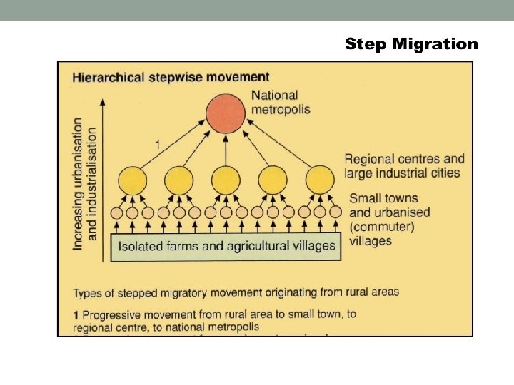 MIGRATION MODEL Belle Yeager Noah Martin 4 th