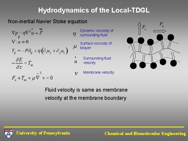 Thesis Project Proposal Multiscale Modeling of ProteinMediated Membrane
