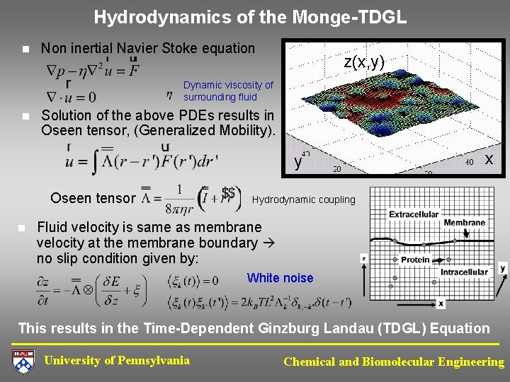Thesis Project Proposal Multiscale Modeling of ProteinMediated Membrane