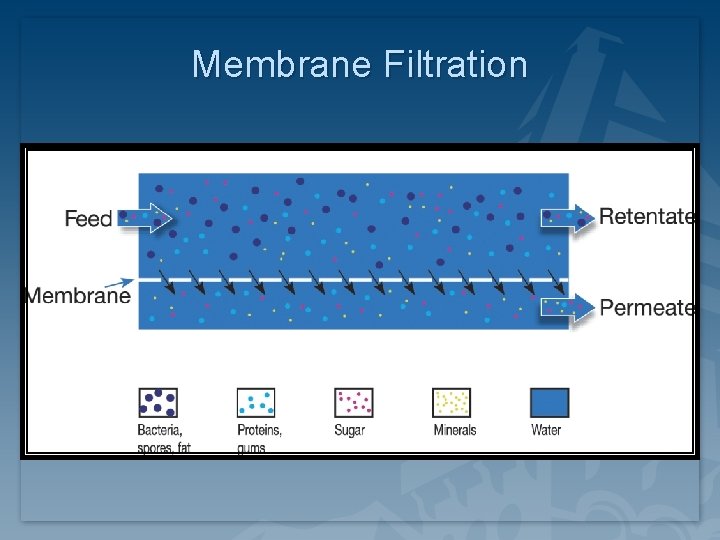 Food Myths Fact or Fiction Karin Allen Ph