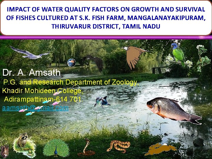 IMPACT OF WATER QUALITY FACTORS ON GROWTH AND